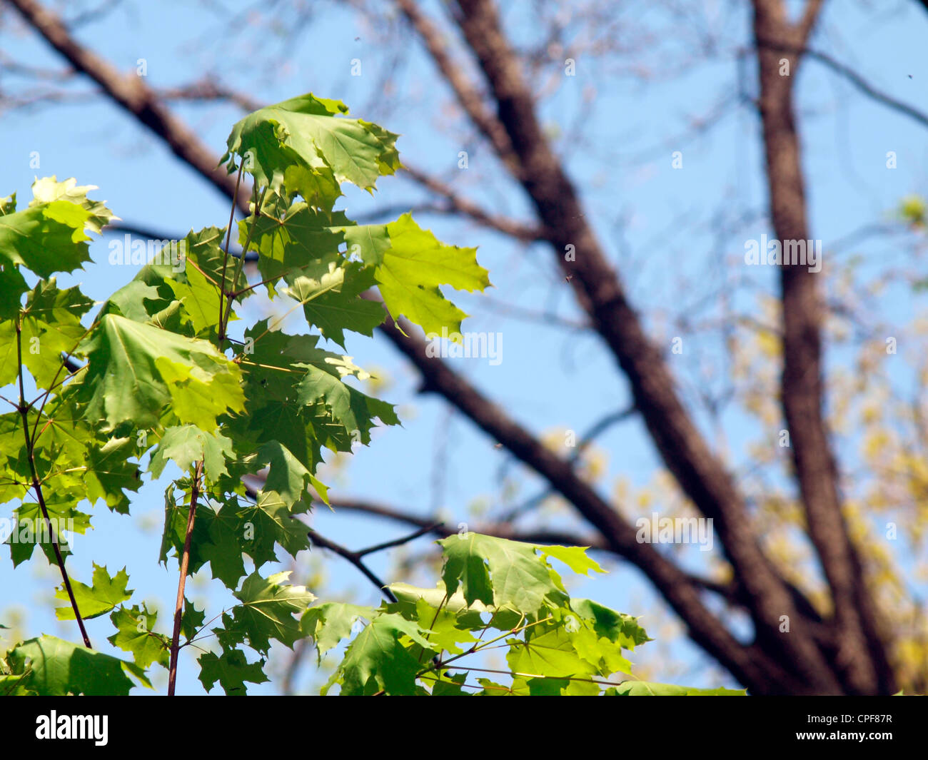 Easy wind hi-res stock photography and images - Alamy