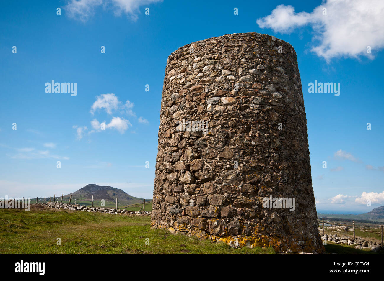Felin fawr hi-res stock photography and images - Alamy