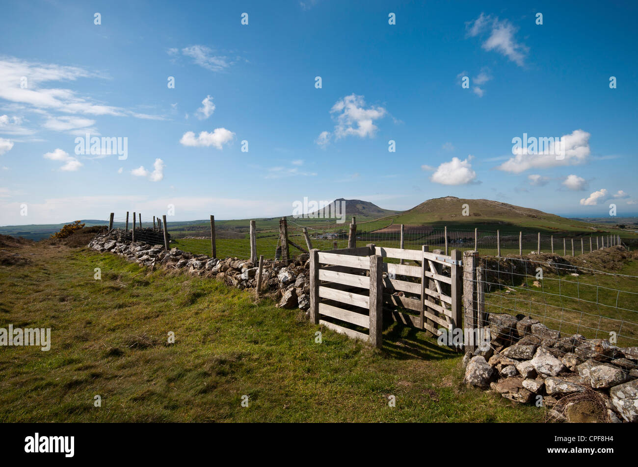 Foel fawr hi-res stock photography and images - Alamy