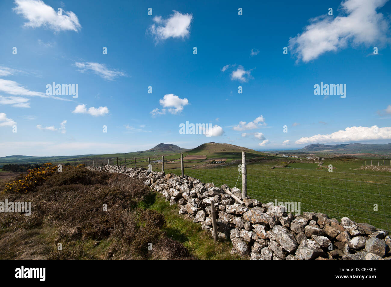 Wynt hi-res stock photography and images - Alamy