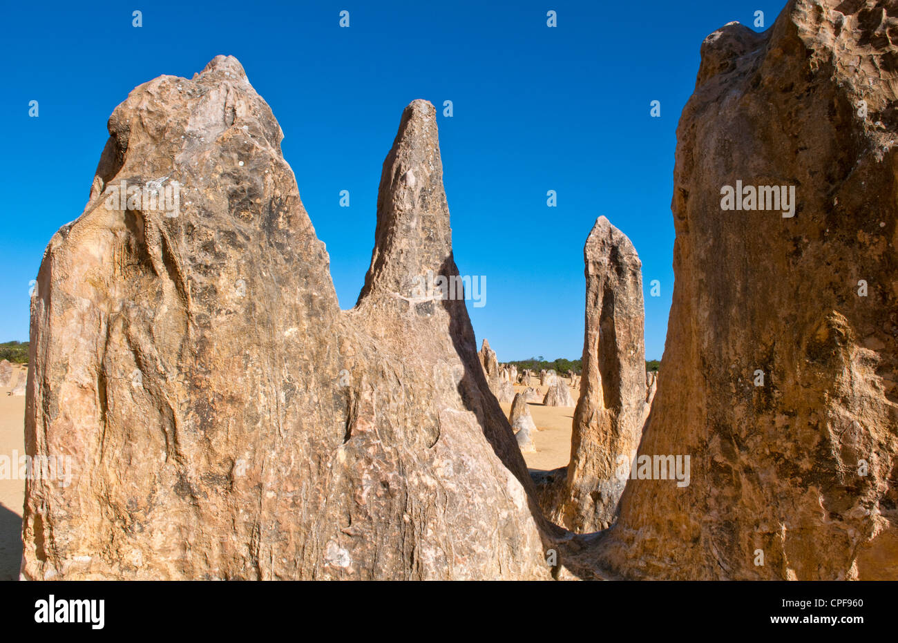 The Pinnacles a famous rock formation in Nambung National Park in ...