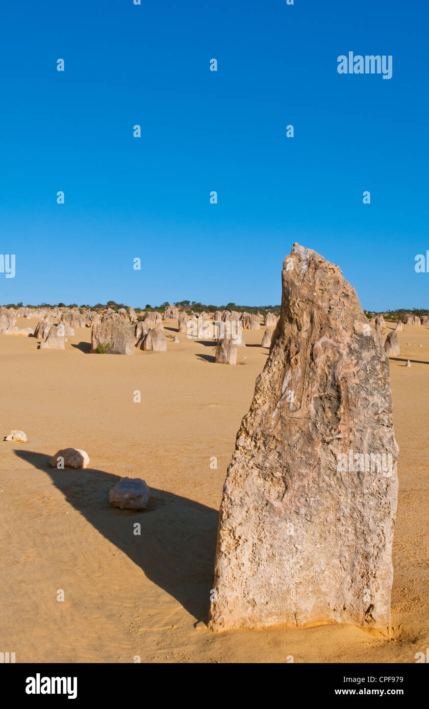The Pinnacles a famous rock formation in Nambung National Park in ...