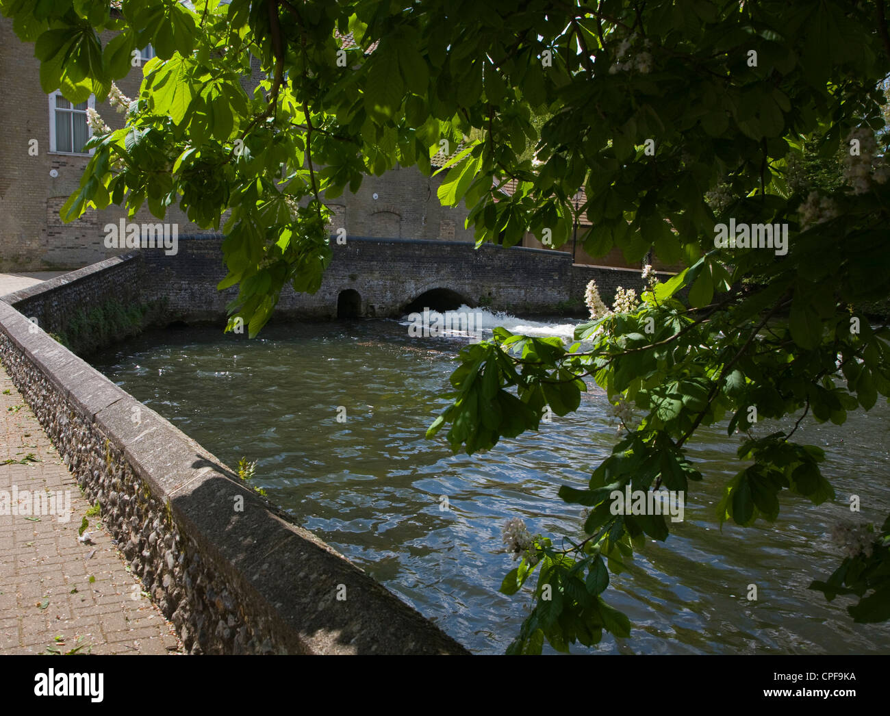 River Thet Thetford Mill Thetford Norfolk England Stock Photo - Alamy