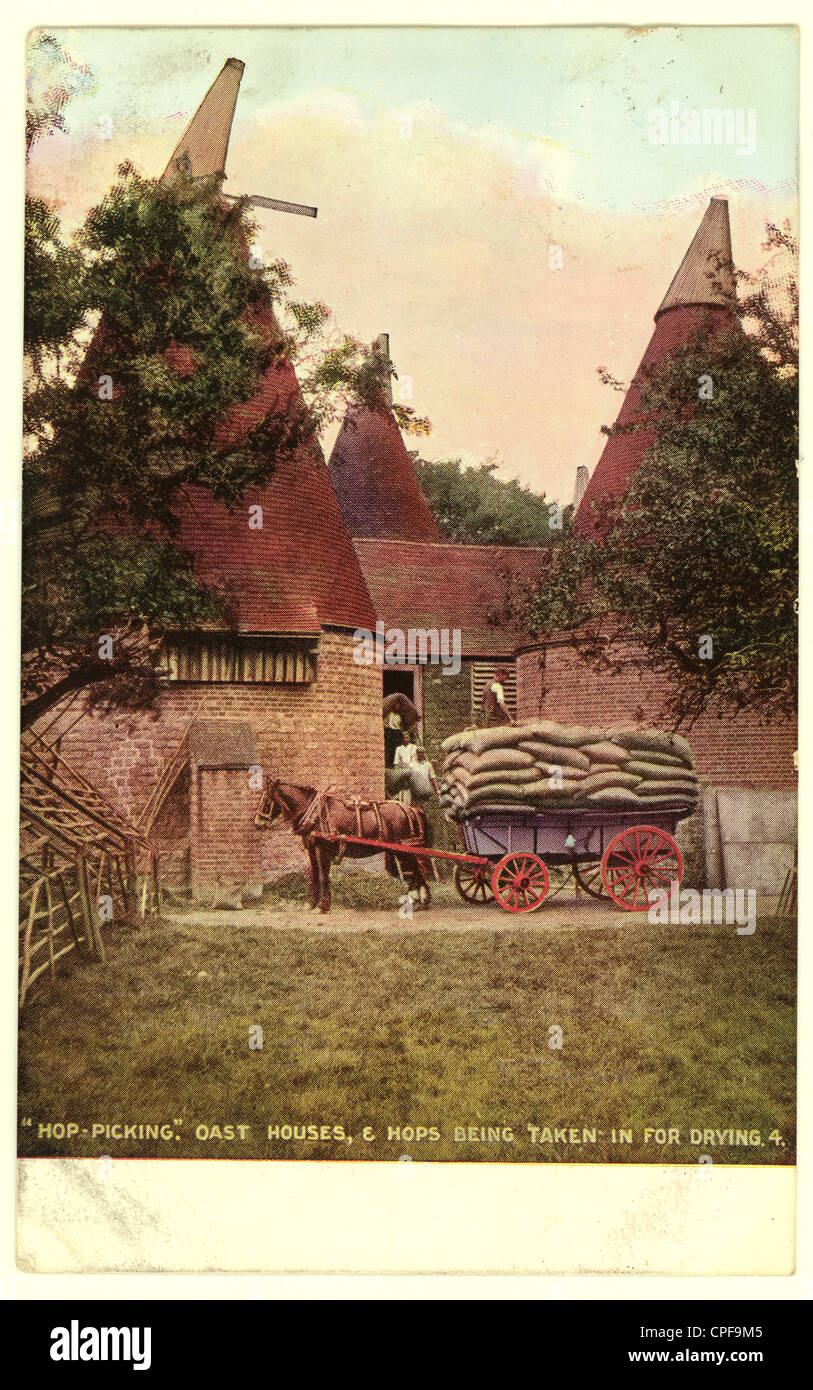 Edwardian postcard depicting workers taking hops into oast houses for ...
