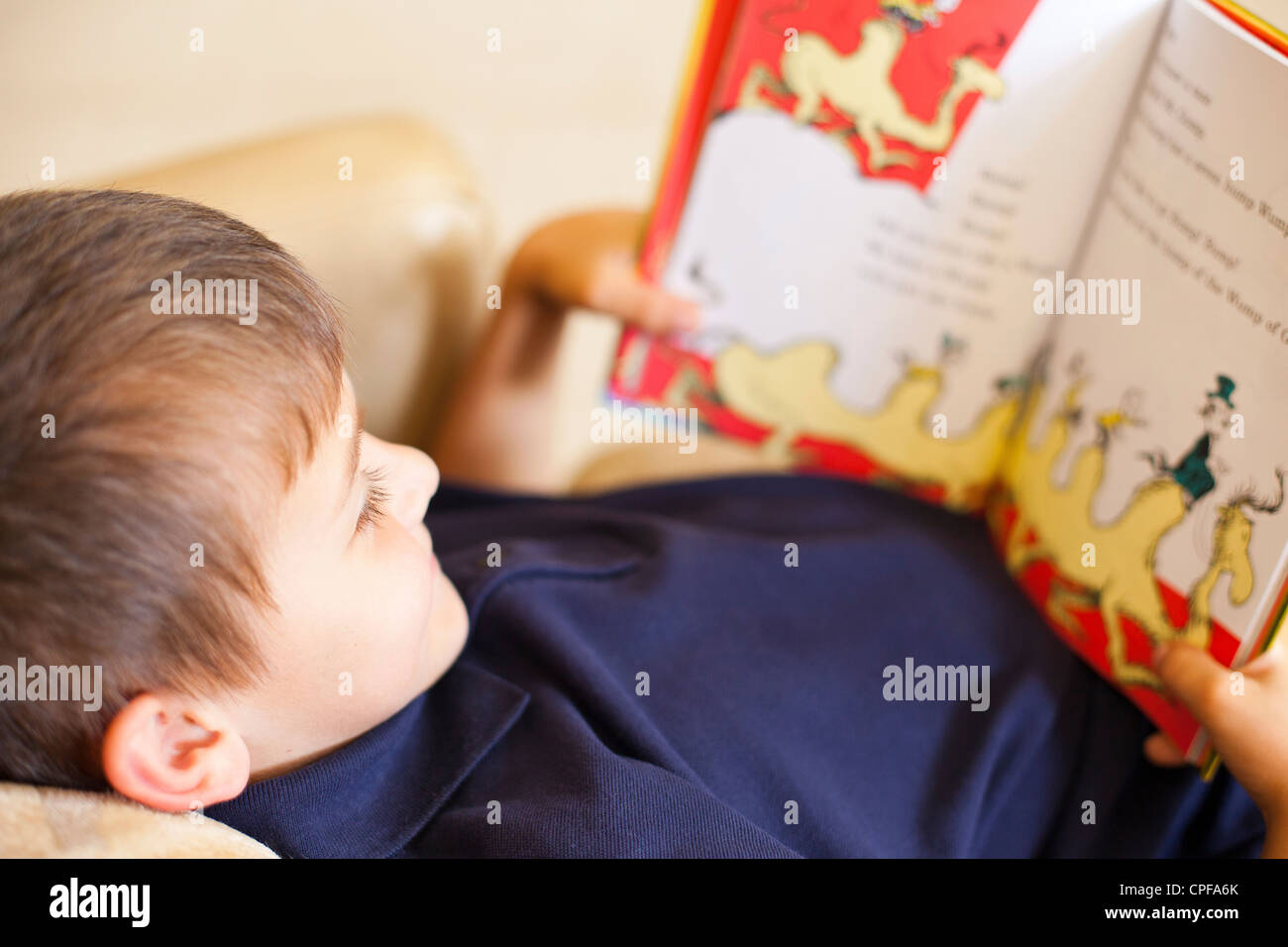 Boy reading a book Stock Photo - Alamy