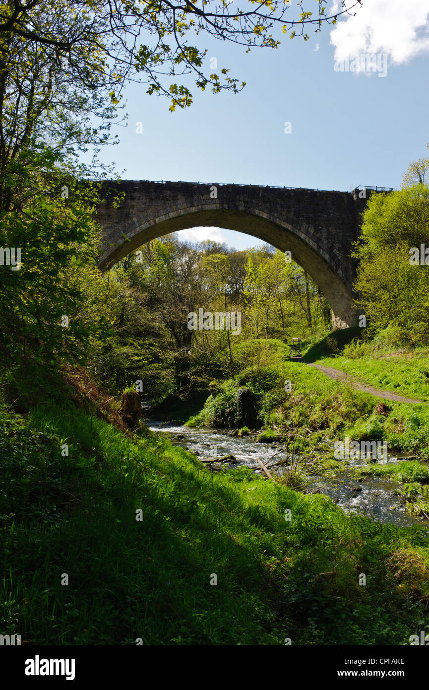 Causey Arch Railway Bridge Stock Photo - Alamy