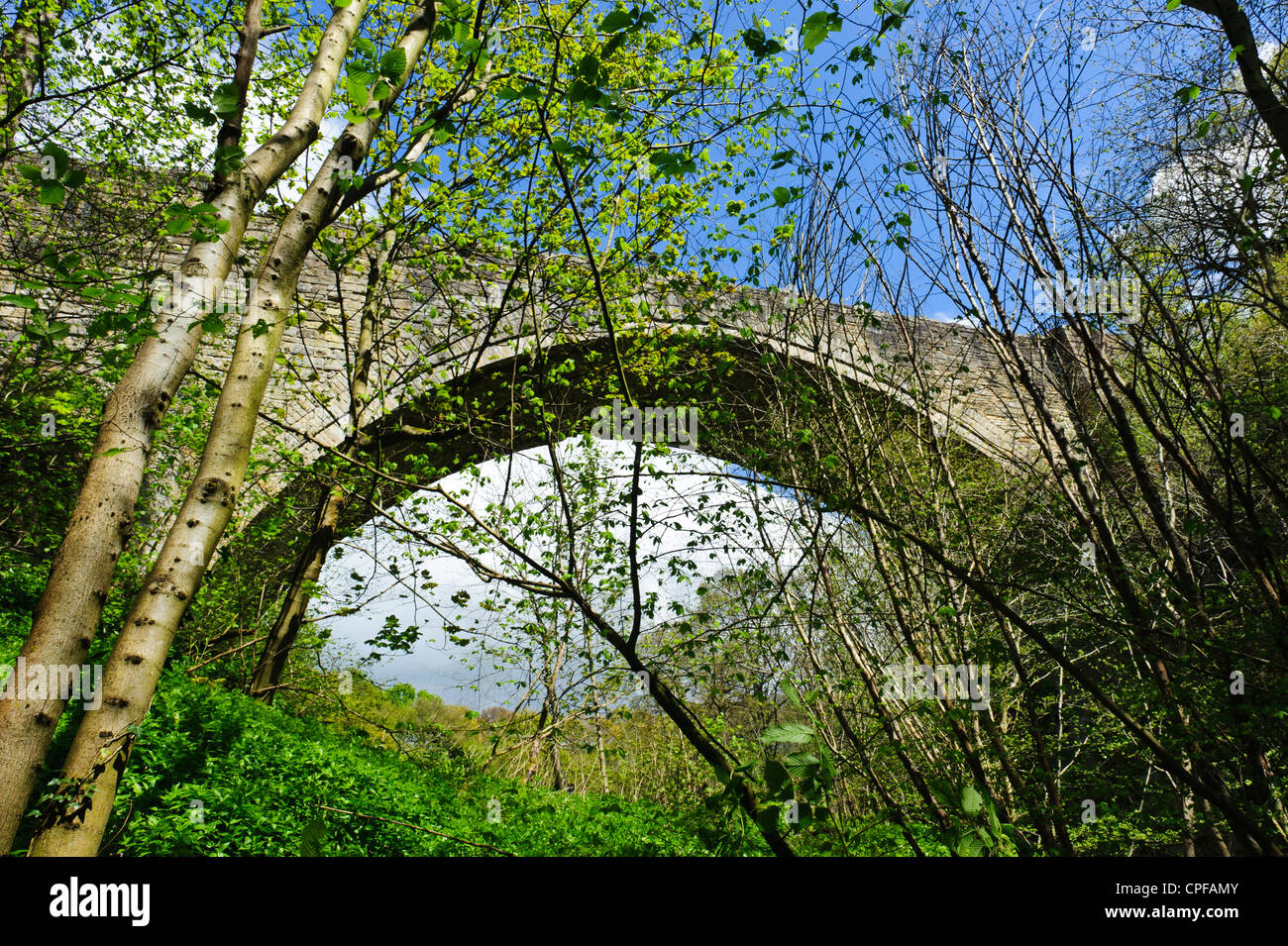 Causey Arch Stock Photos & Causey Arch Stock Images - Alamy
