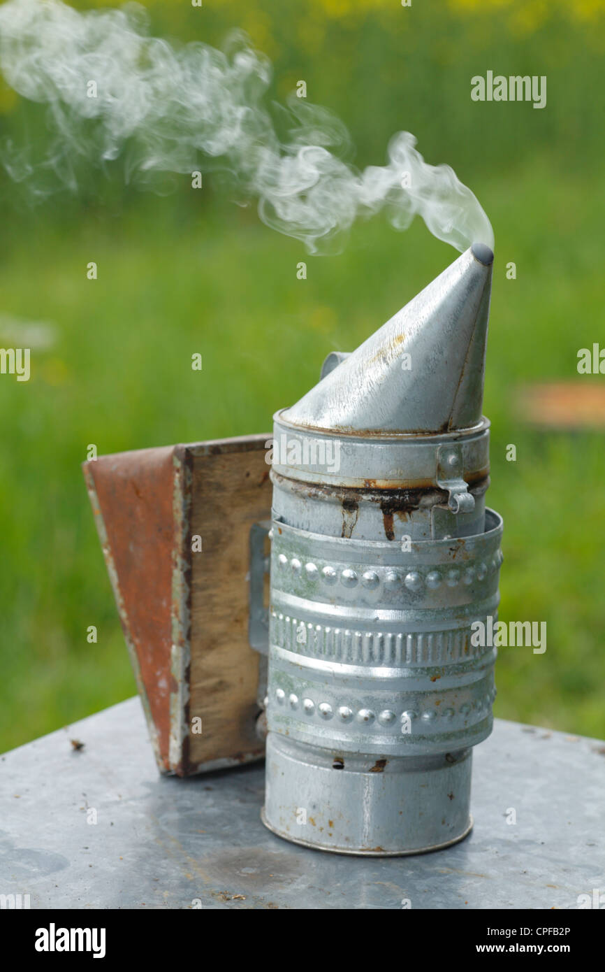 Professional beekeeping. Hive smoker. Shropshire, England Stock Photo ...