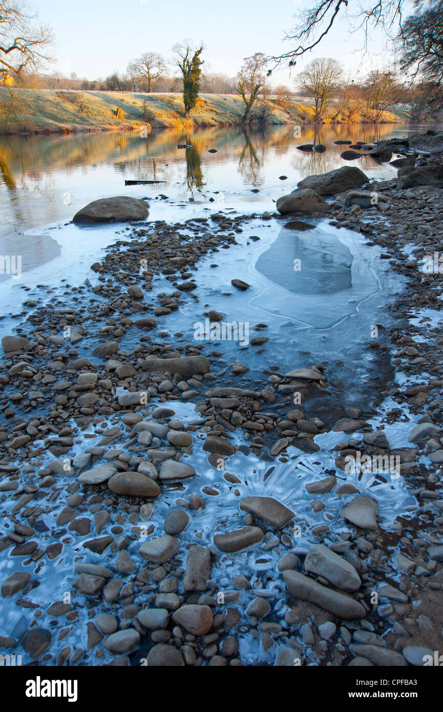 The River Ribble by Marles Wood near Ribchester Lancashire England ...