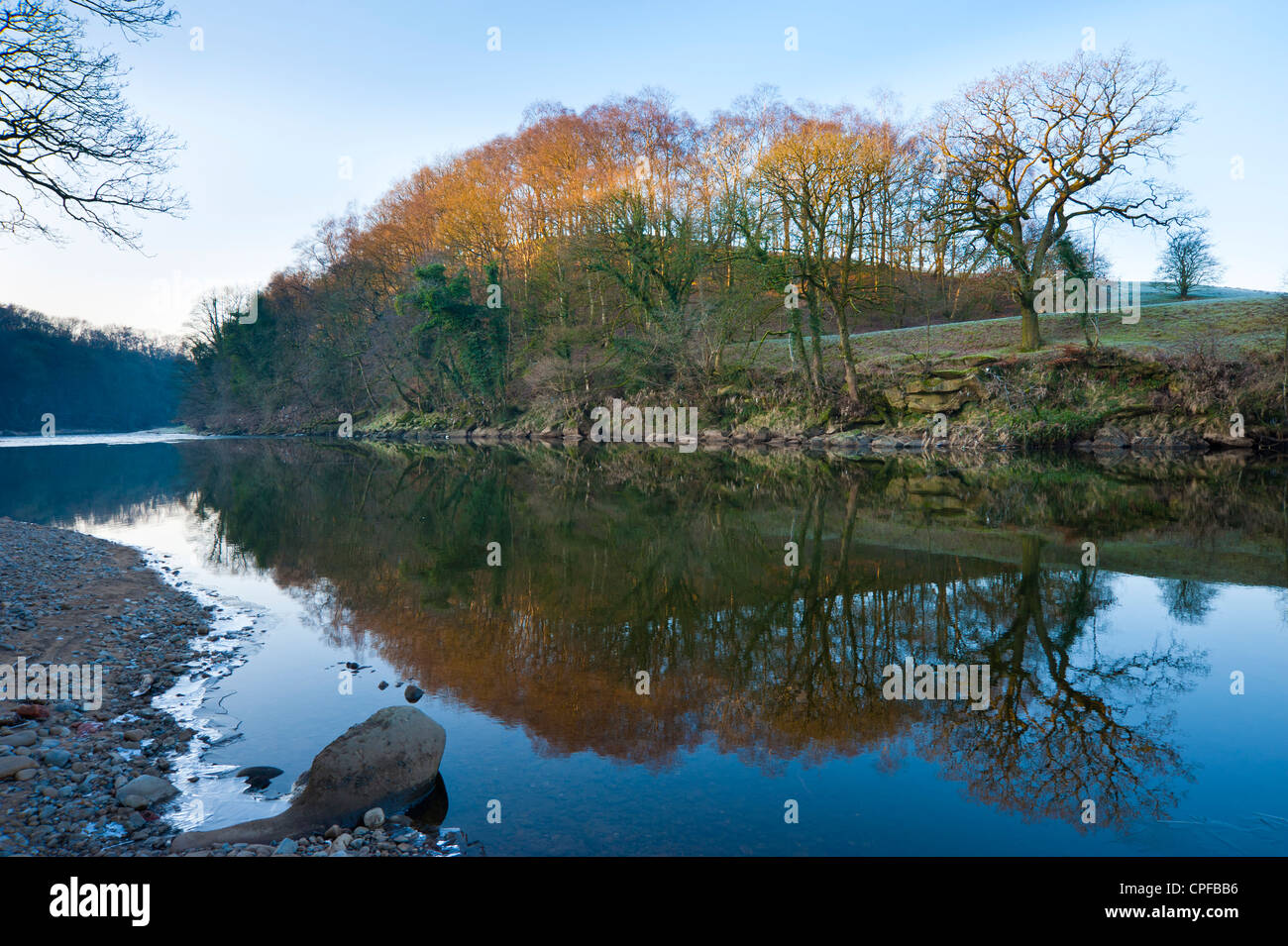 The River Ribble by Marles Wood near Ribchester Lancashire England ...