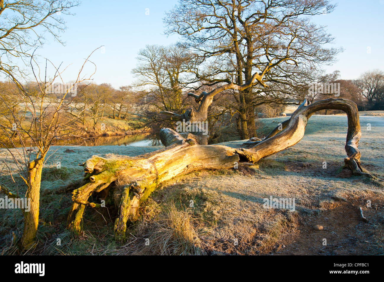 Ribble ribchester river lancashire hi-res stock photography and images ...