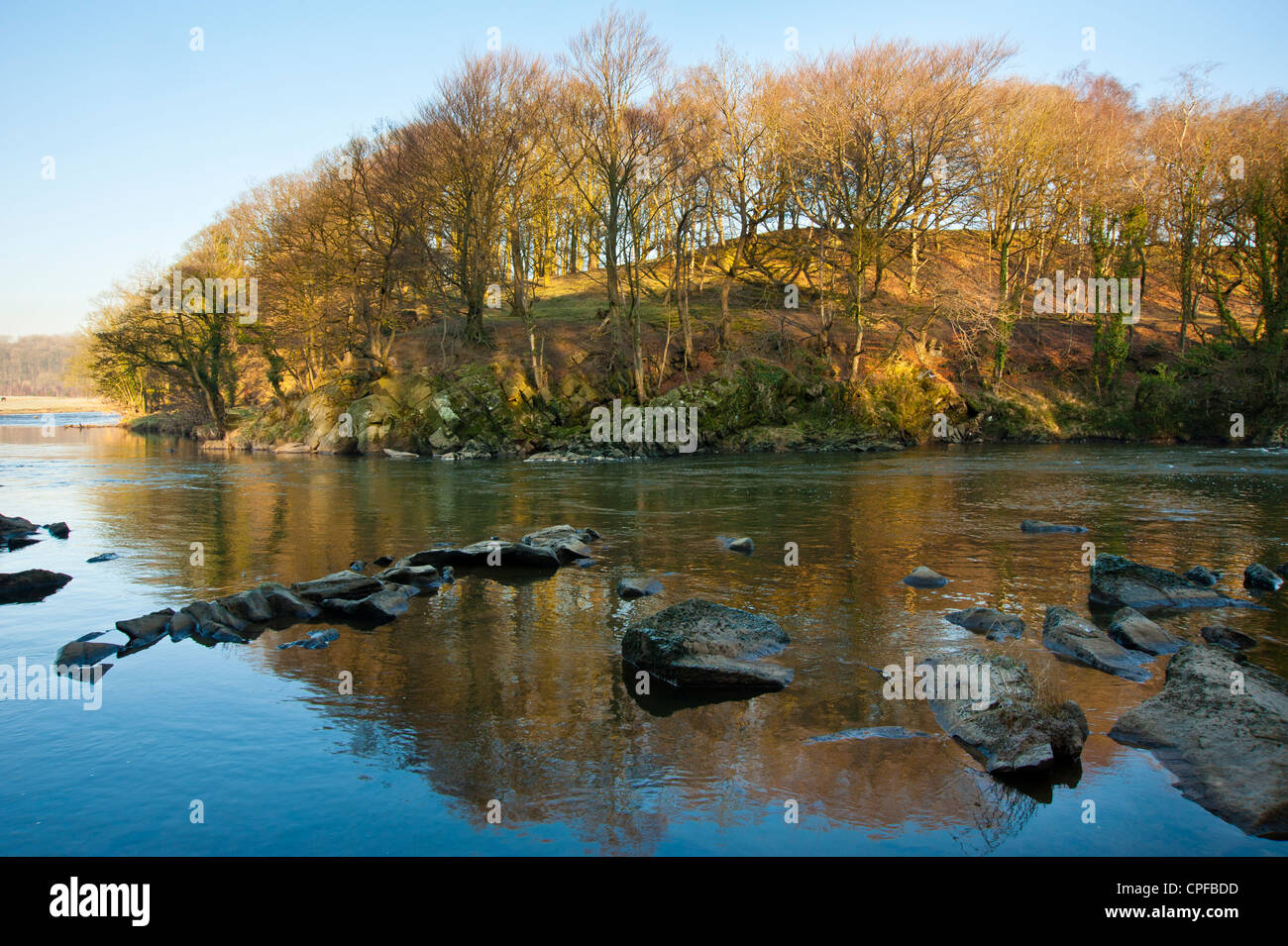 The River Ribble by Marles Wood near Ribchester Lancashire England ...