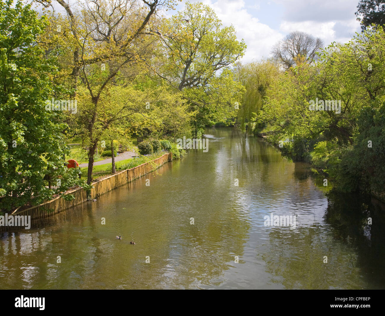 The Little Ouse River at Brandon, Suffolk, England Stock Photo - Alamy