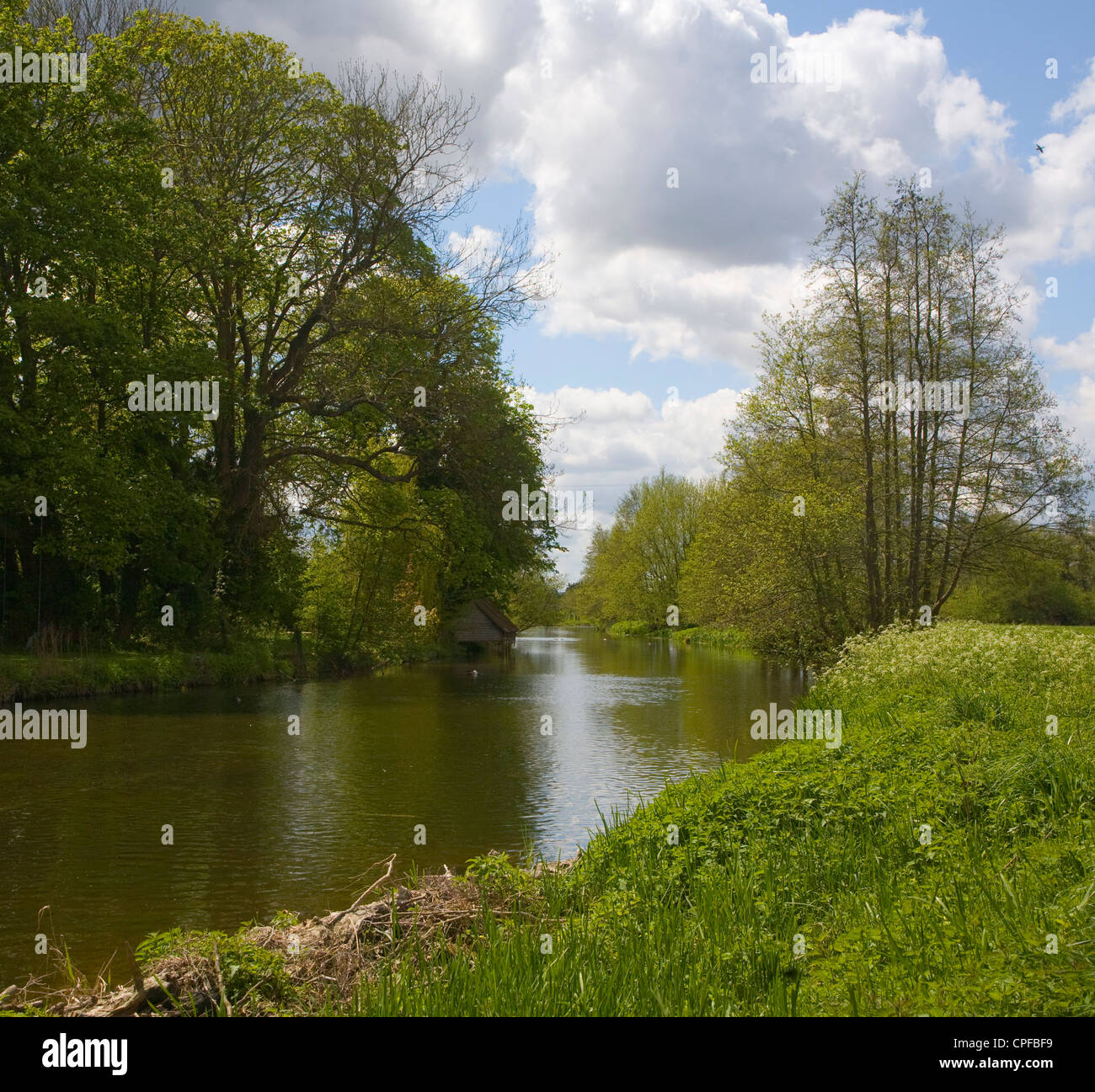 River Little Ouse meander Brandon, Suffolk, England Stock Photo - Alamy