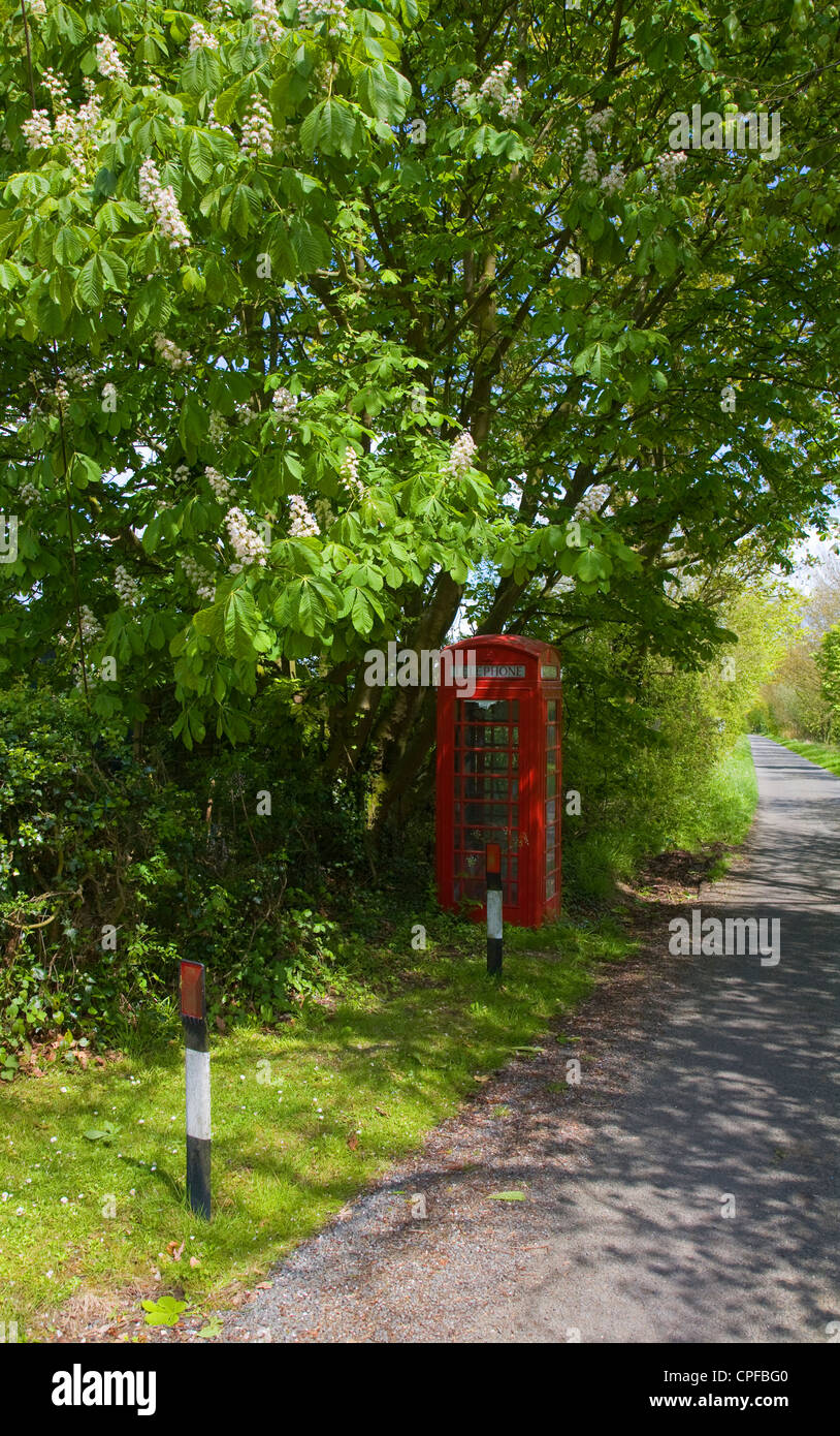 Traditional red telephone box hi-res stock photography and images - Alamy