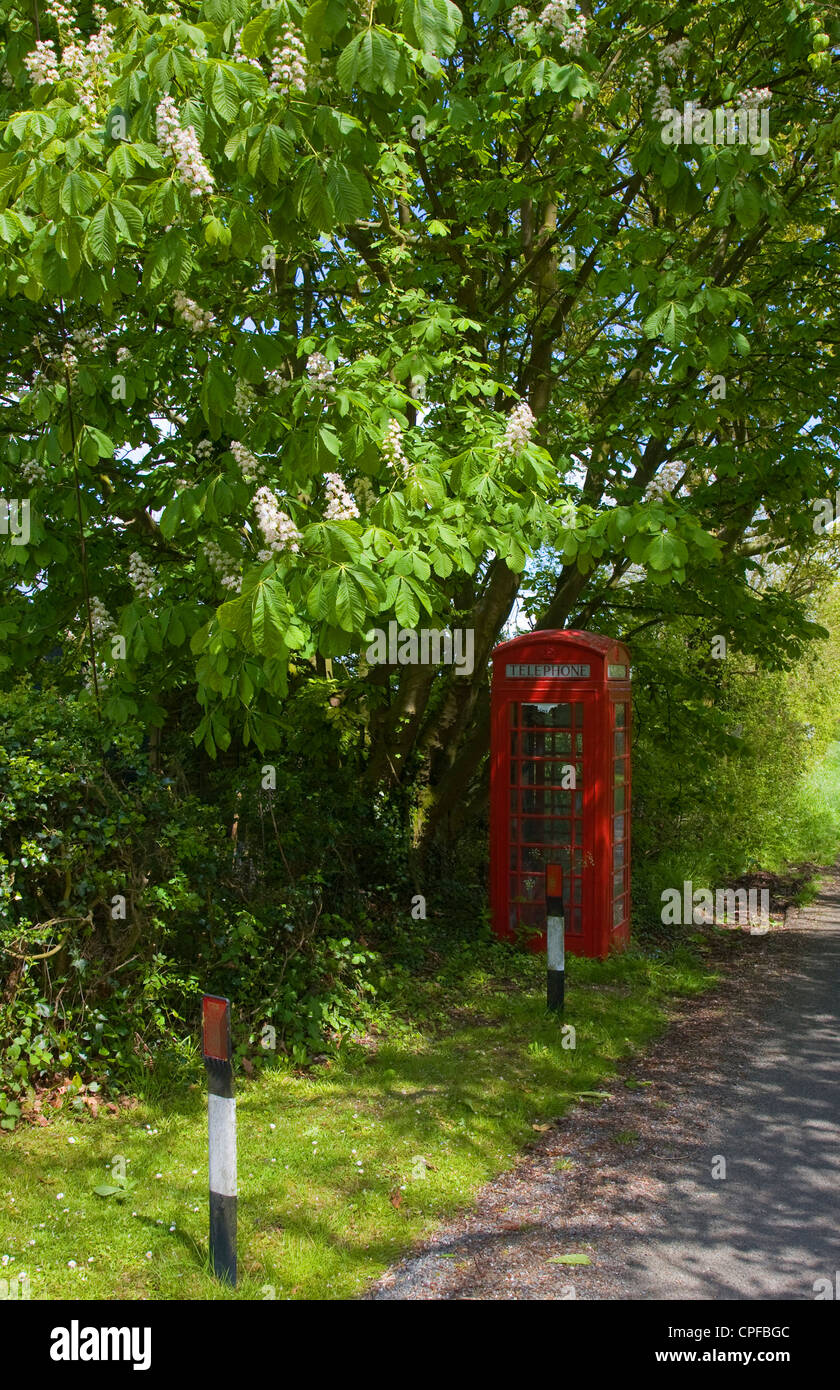 Traditional red telephone box booth in countryside Stock Photo - Alamy