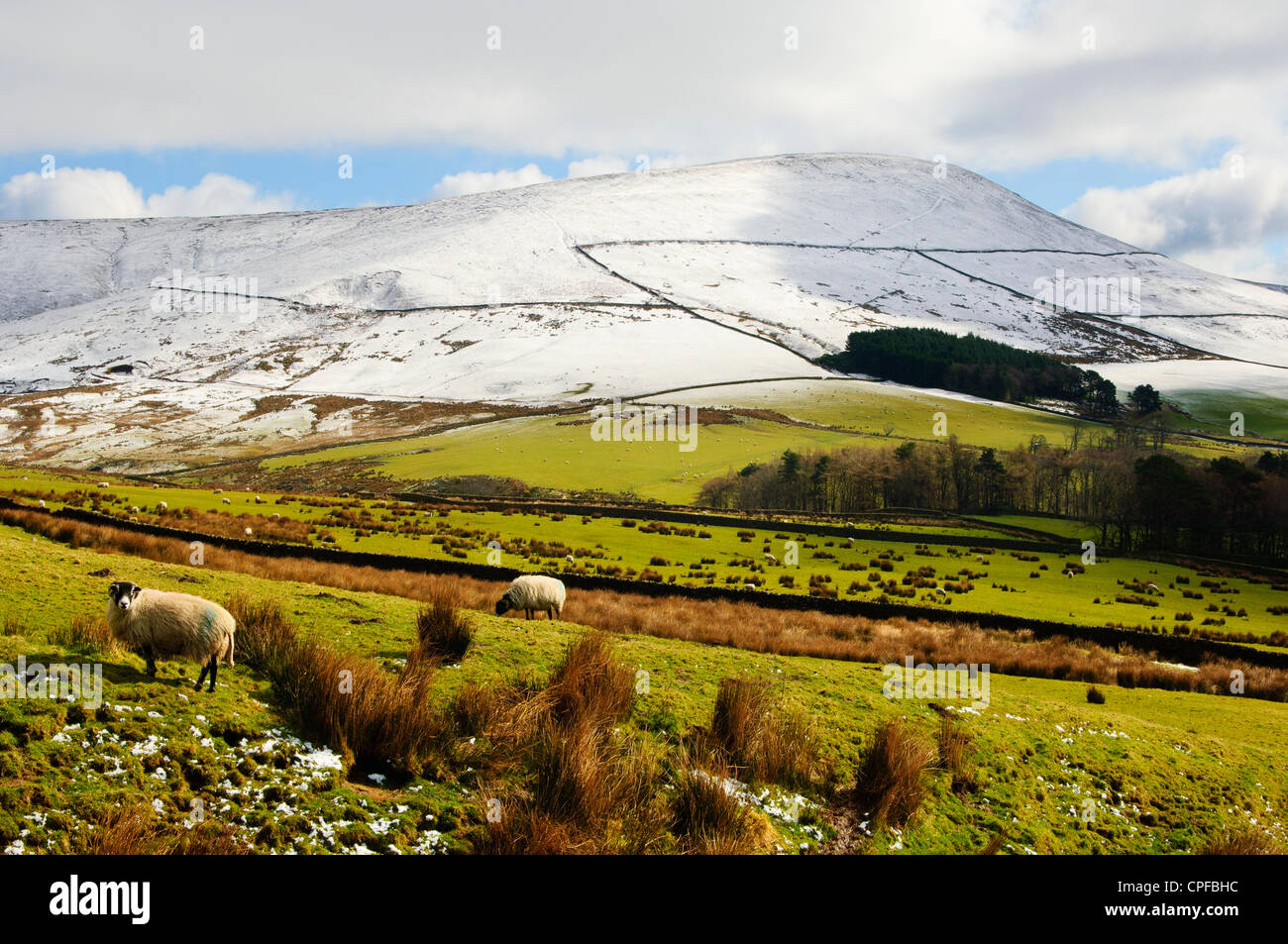 Bleasdale hi-res stock photography and images - Alamy