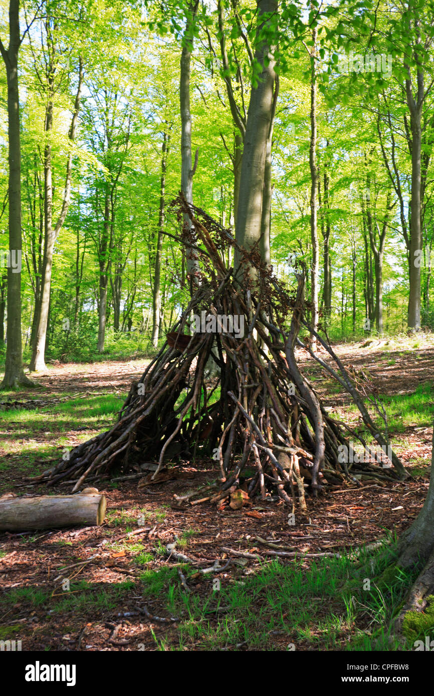 Collection of branches hi-res stock photography and images - Alamy