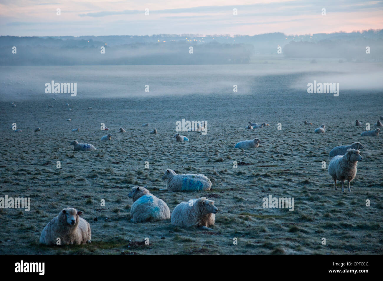 Plains of england hi-res stock photography and images - Alamy