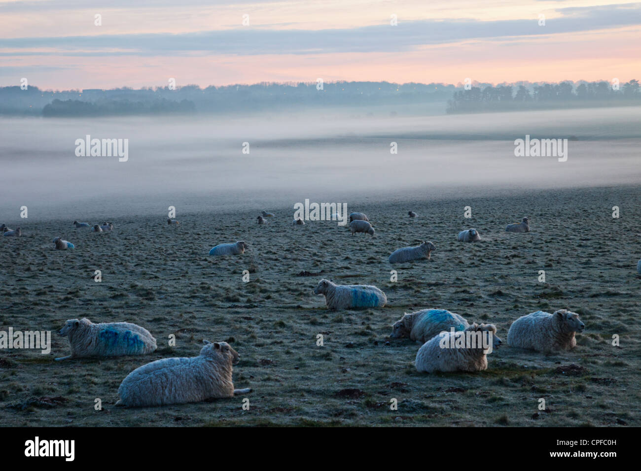 Plains of england hi-res stock photography and images - Alamy