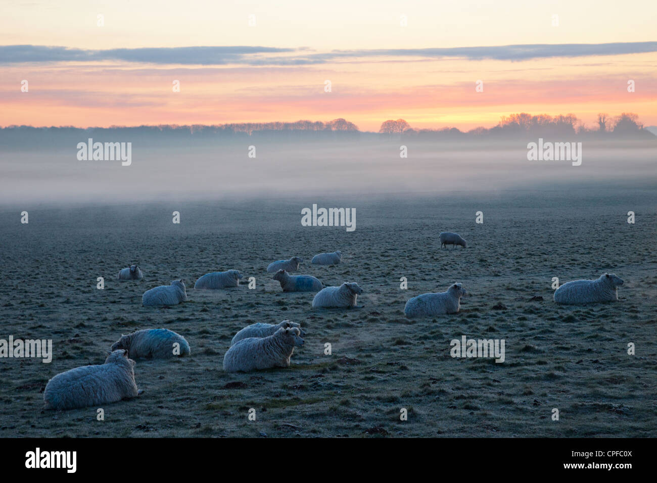 Farming salisbury plain england hi-res stock photography and images - Alamy