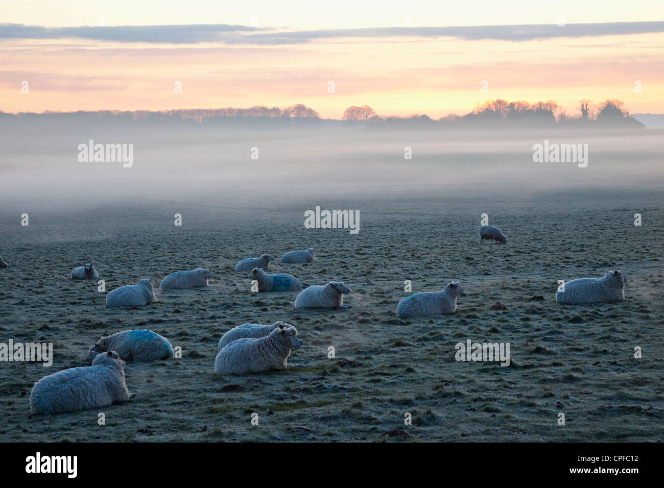 Plains of england hi-res stock photography and images - Alamy