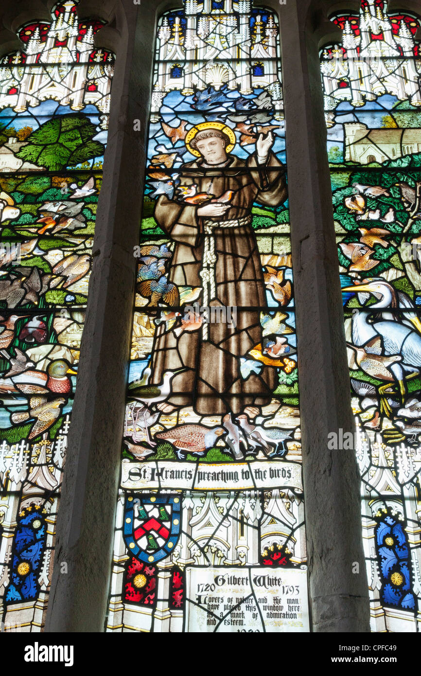 Hampshire, Selborne, St.Mary The Virgin Church, Stained Glass Window ...