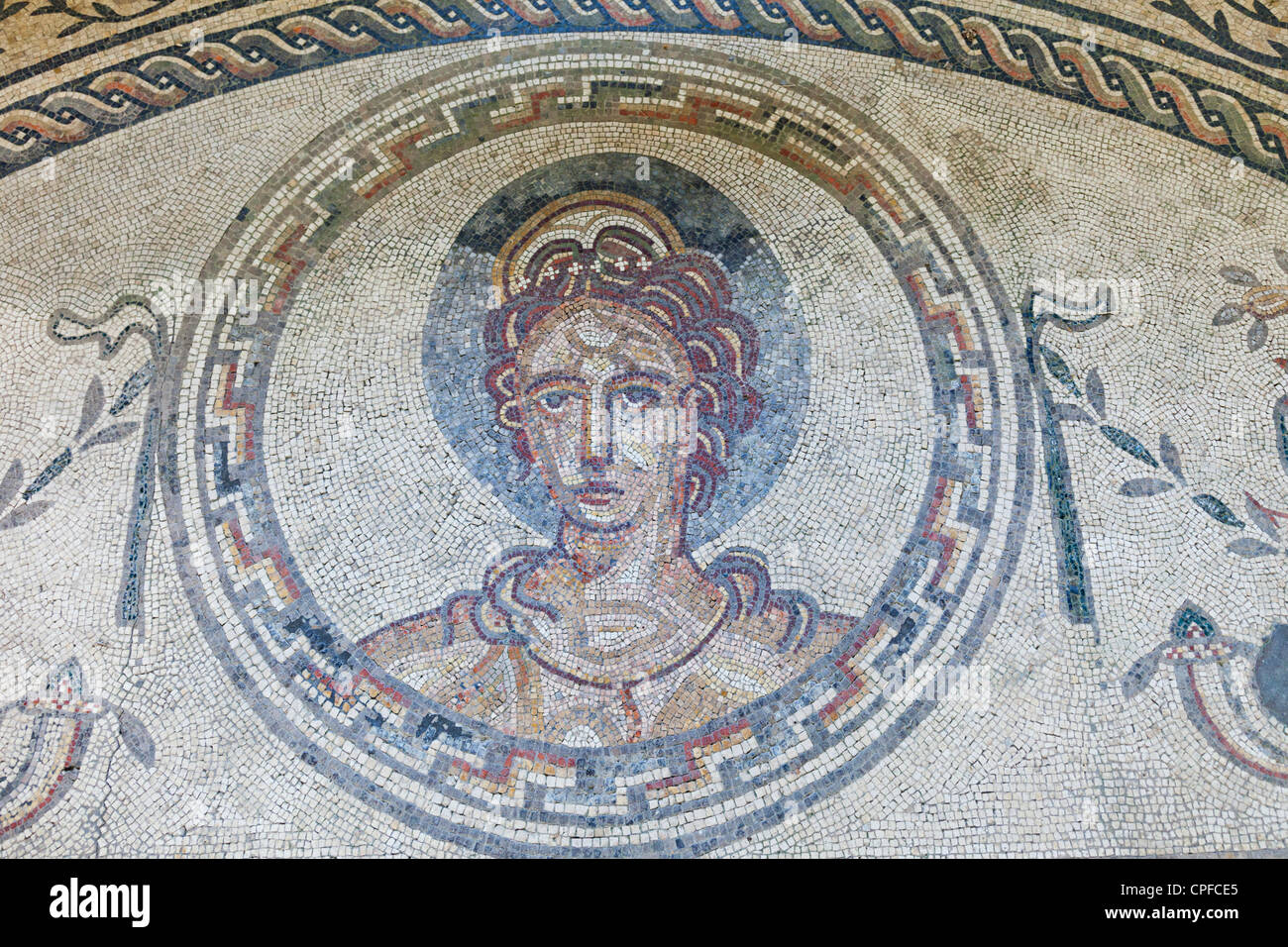 England, West Sussex, Bignor, Bignor Roman Villa, The Venus Room ...