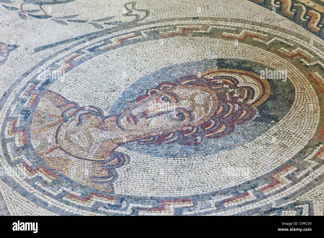 England, West Sussex, Bignor, Bignor Roman Villa, The Venus Room ...