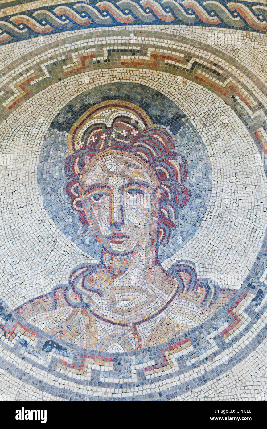 England, West Sussex, Bignor, Bignor Roman Villa, The Venus Room ...