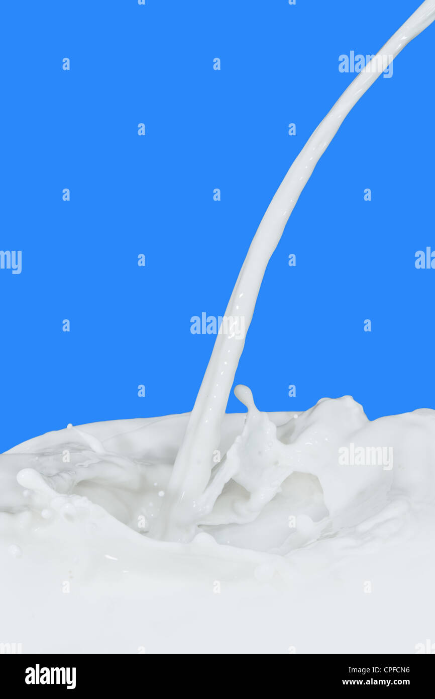 splashing milk isolated on blue background Stock Photo - Alamy