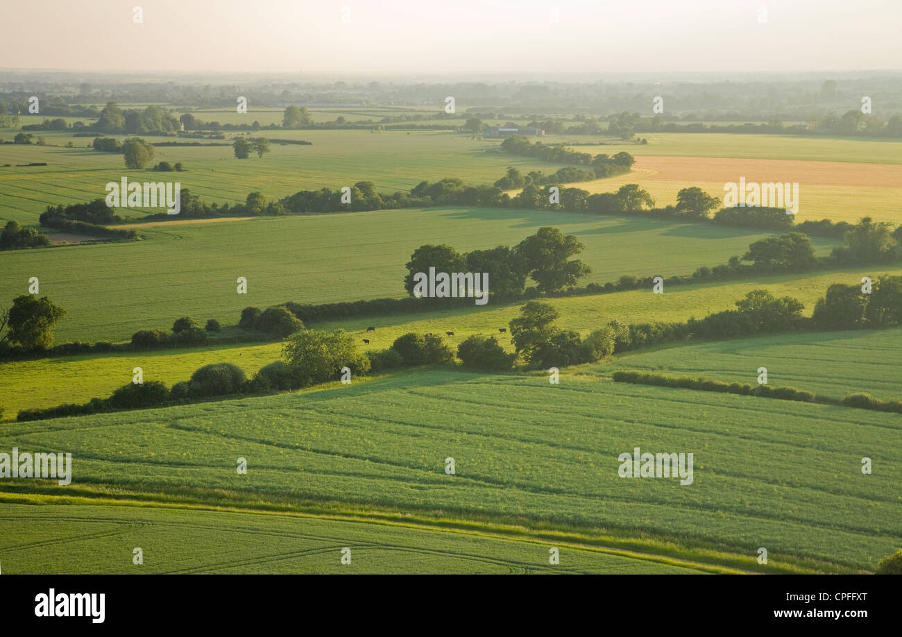 view over the early summer green fields from the air; East Anglia; UK ...