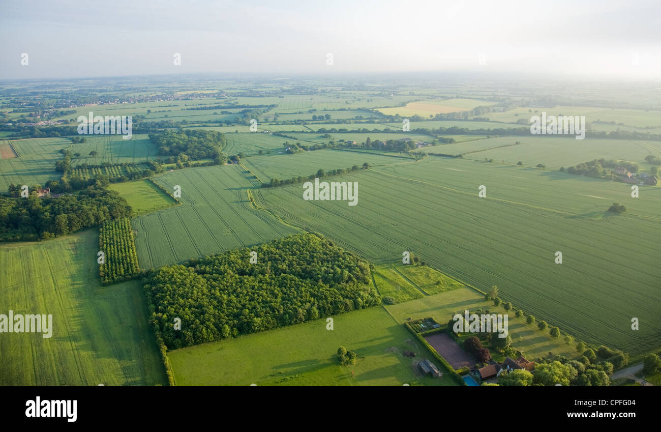 view over the early summer green fields from the air; East Anglia; UK ...