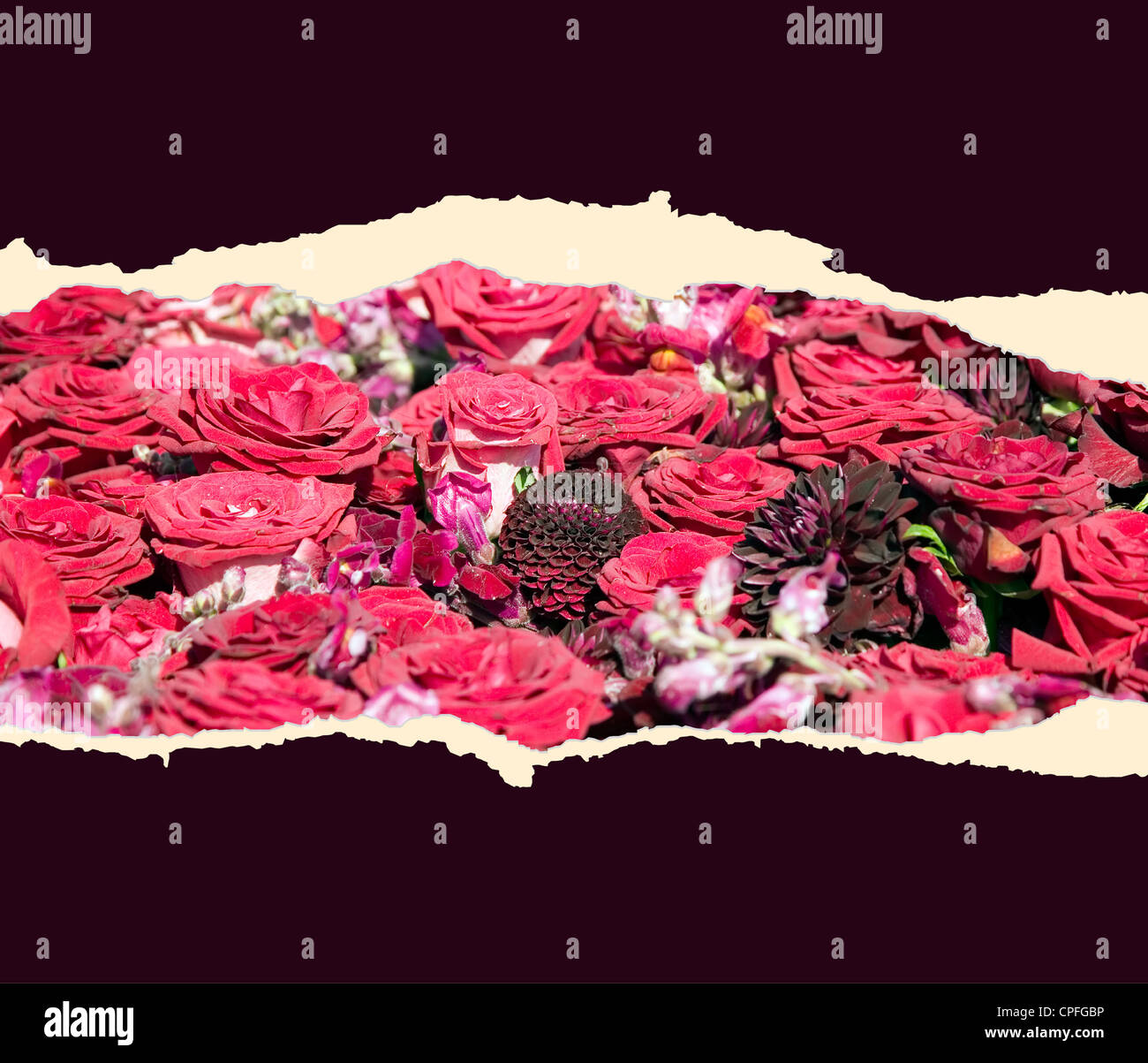 A sheet of paper with colorful flowers Stock Photo - Alamy