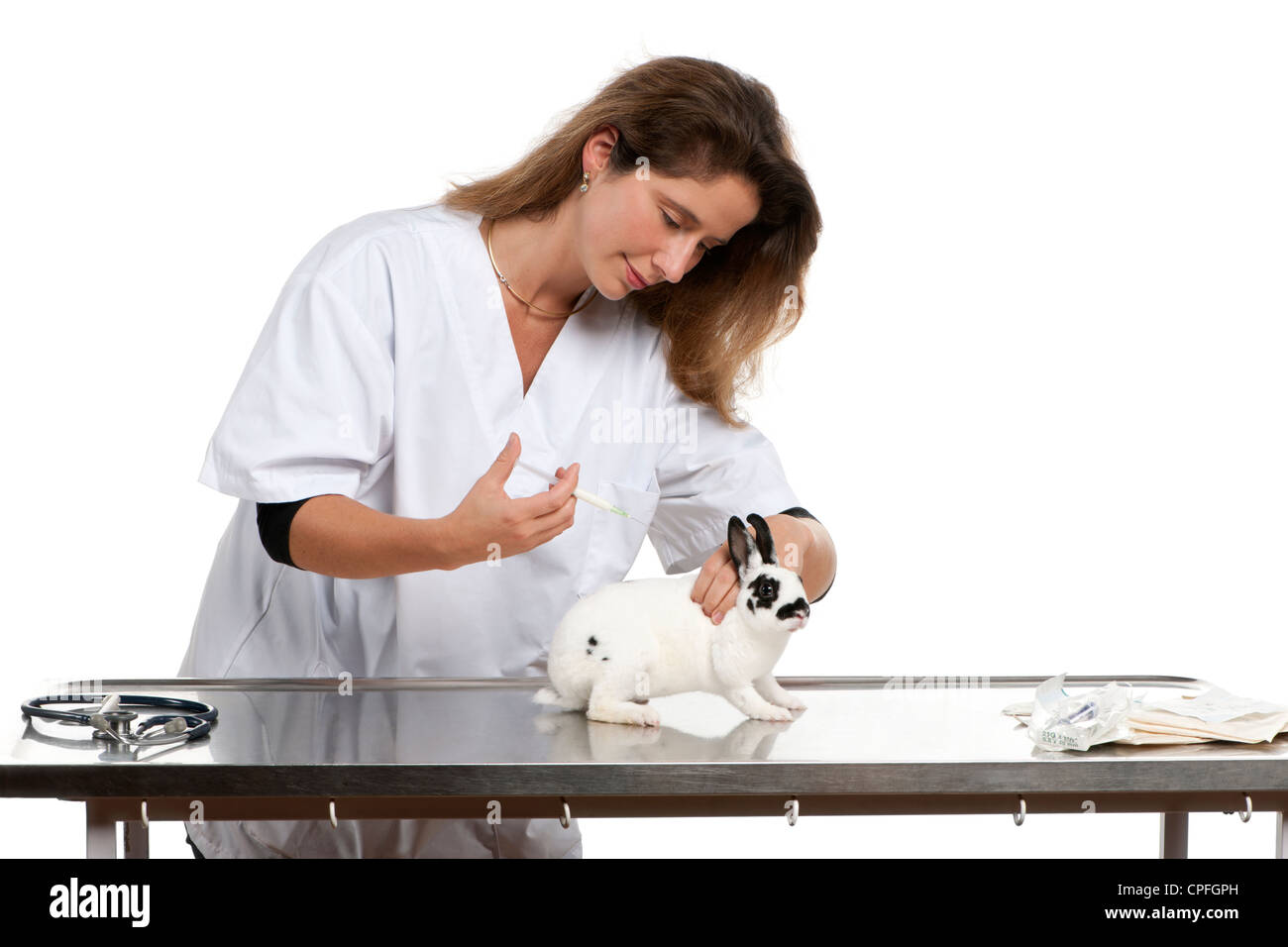 Vet giving injection to Dalmatian rabbit in front of white background ...
