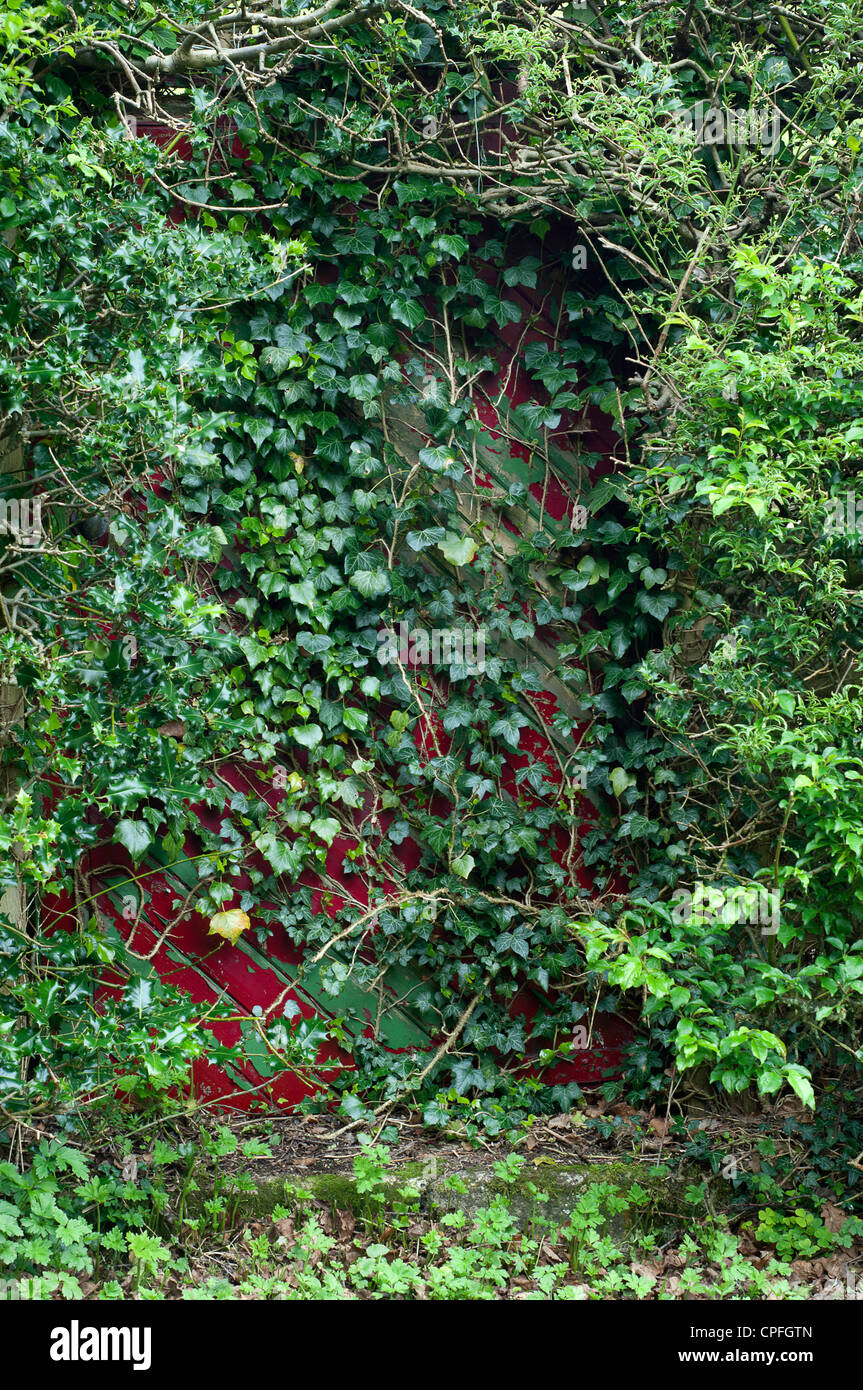 Garden overgrown door hi-res stock photography and images - Alamy