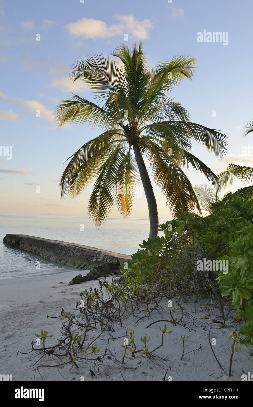 Maldives jetty on maldive island hi-res stock photography and images ...