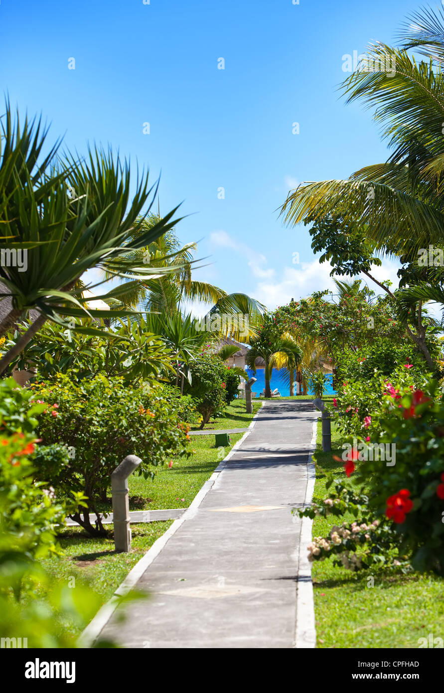 Footpath to the sea among tropical vegetation. Mauritius Stock Photo ...