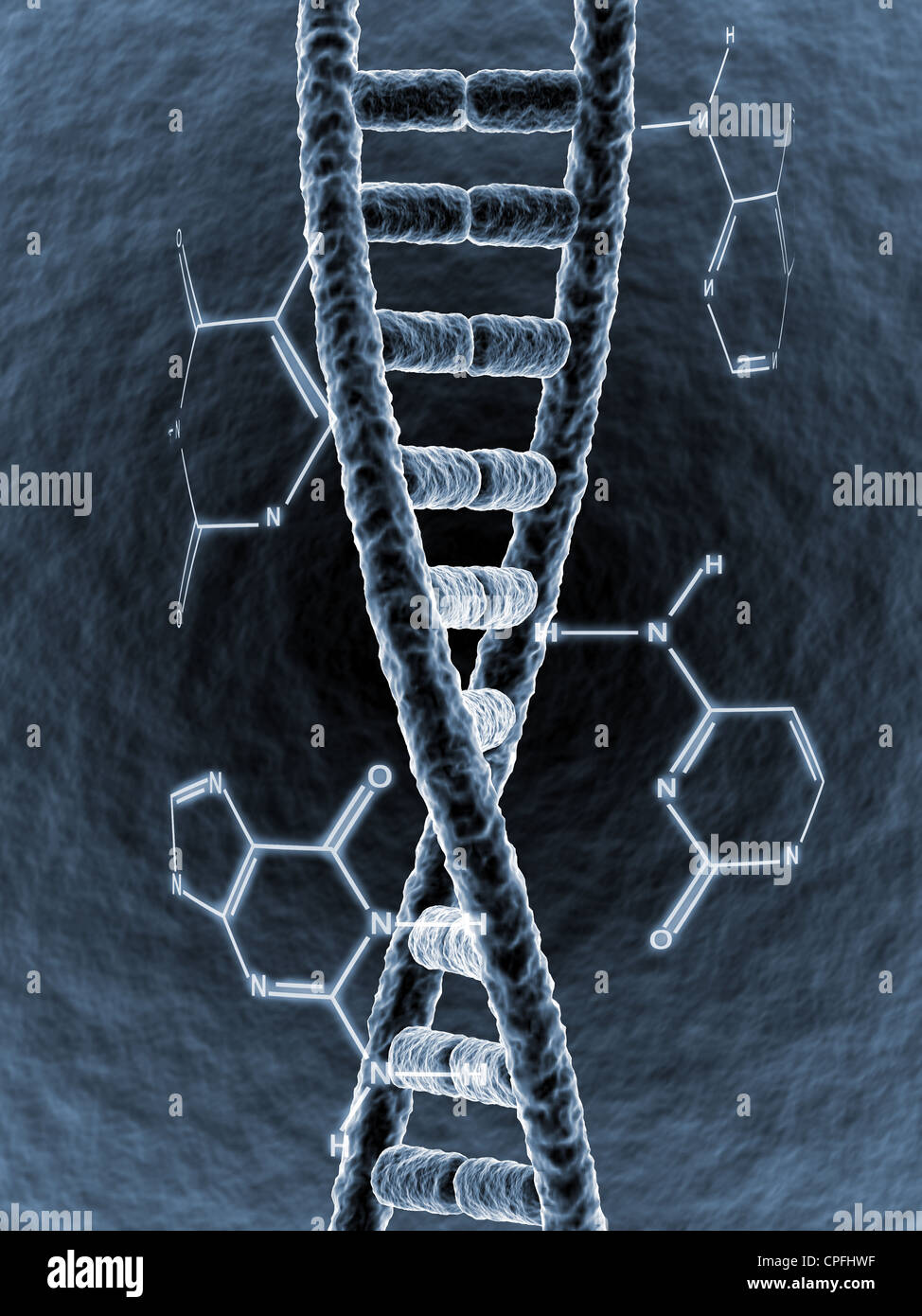 DNA strand surrounded by chemical formula of its bases Stock Photo - Alamy