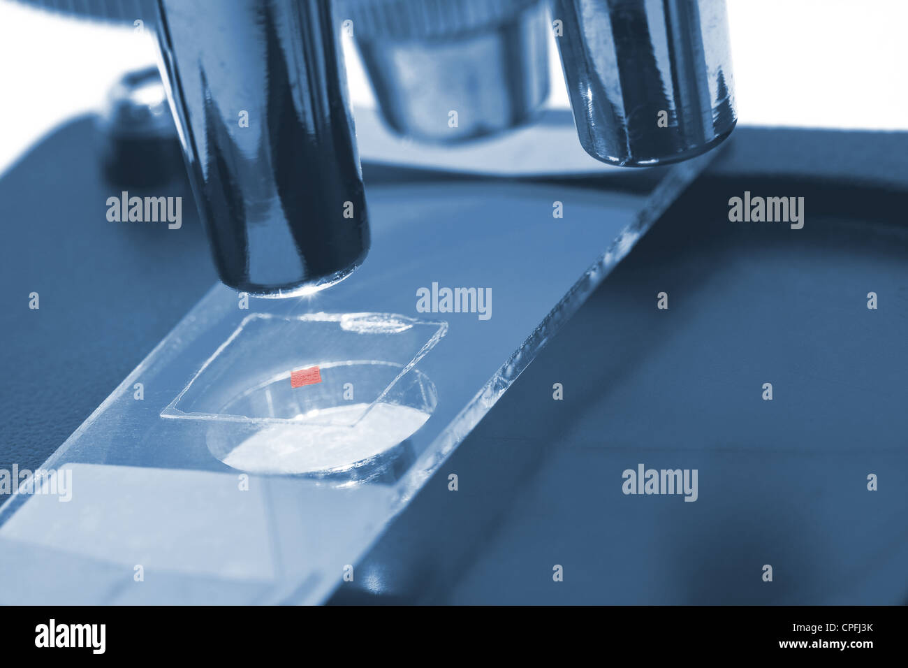 Tissue sample hi-res stock photography and images - Alamy