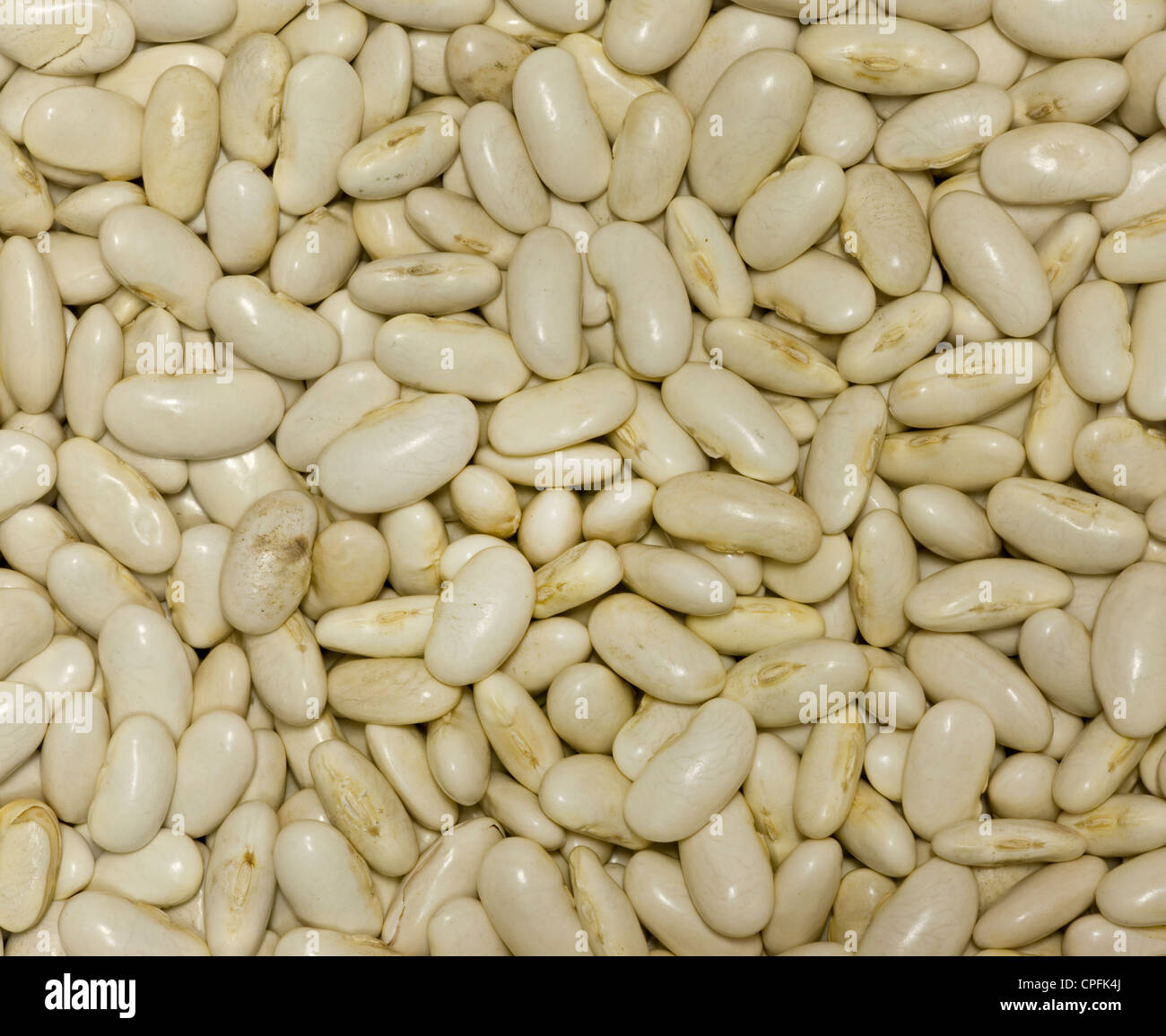 White lady beans hi-res stock photography and images - Alamy