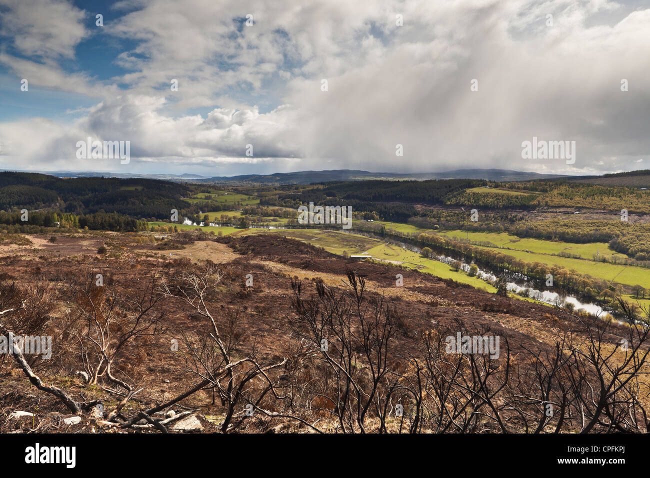 Strathglass hi-res stock photography and images - Alamy