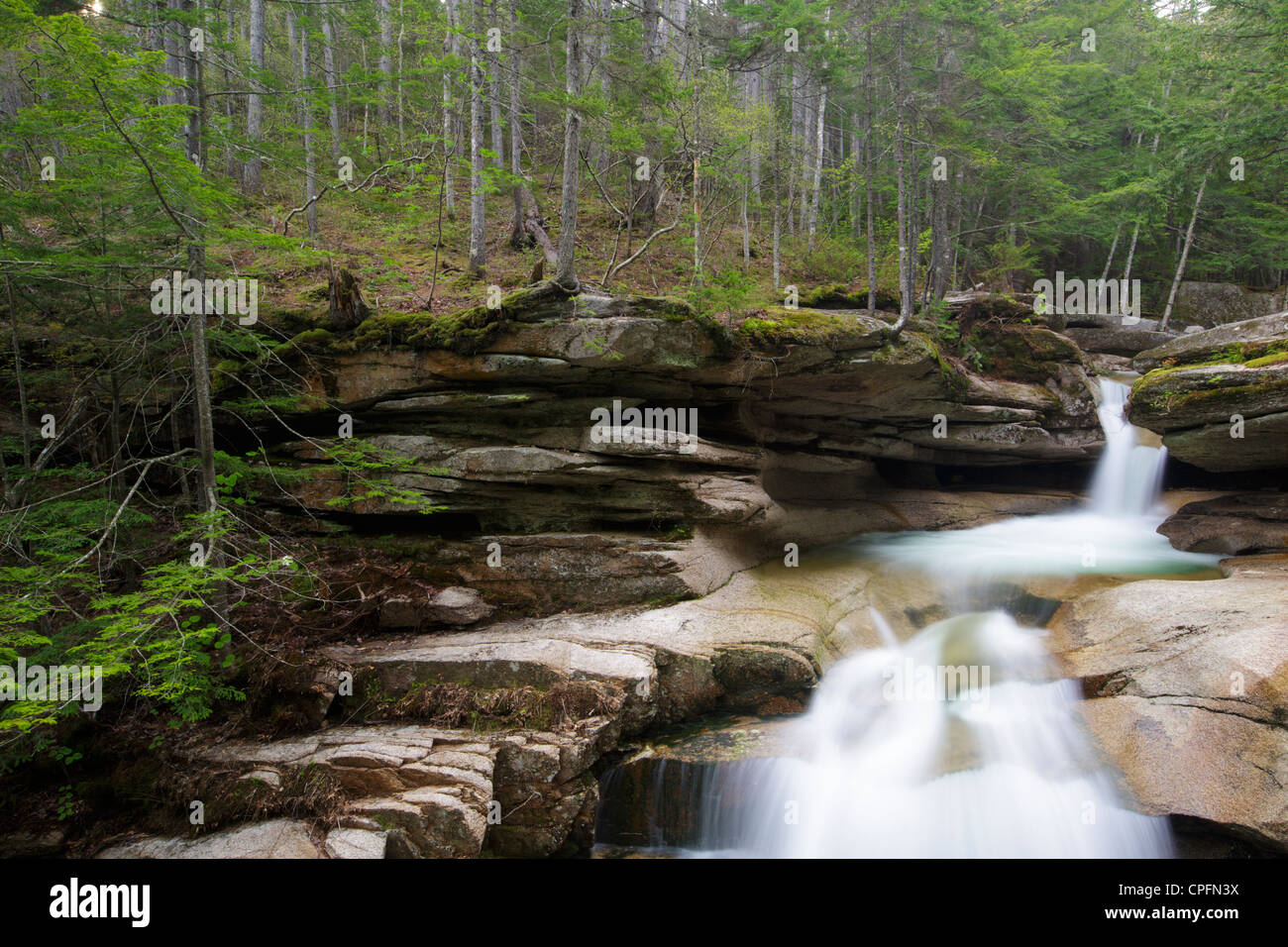 White Mountain National Forest in New Hampshire USA Stock Photo - Alamy