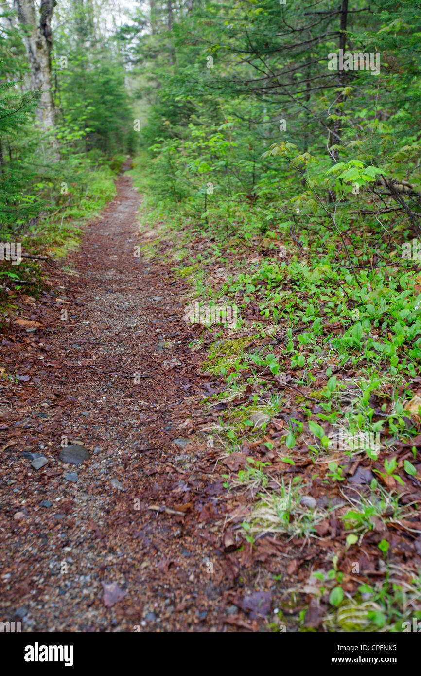 White Mountain National Forest in New Hampshire USA Stock Photo - Alamy