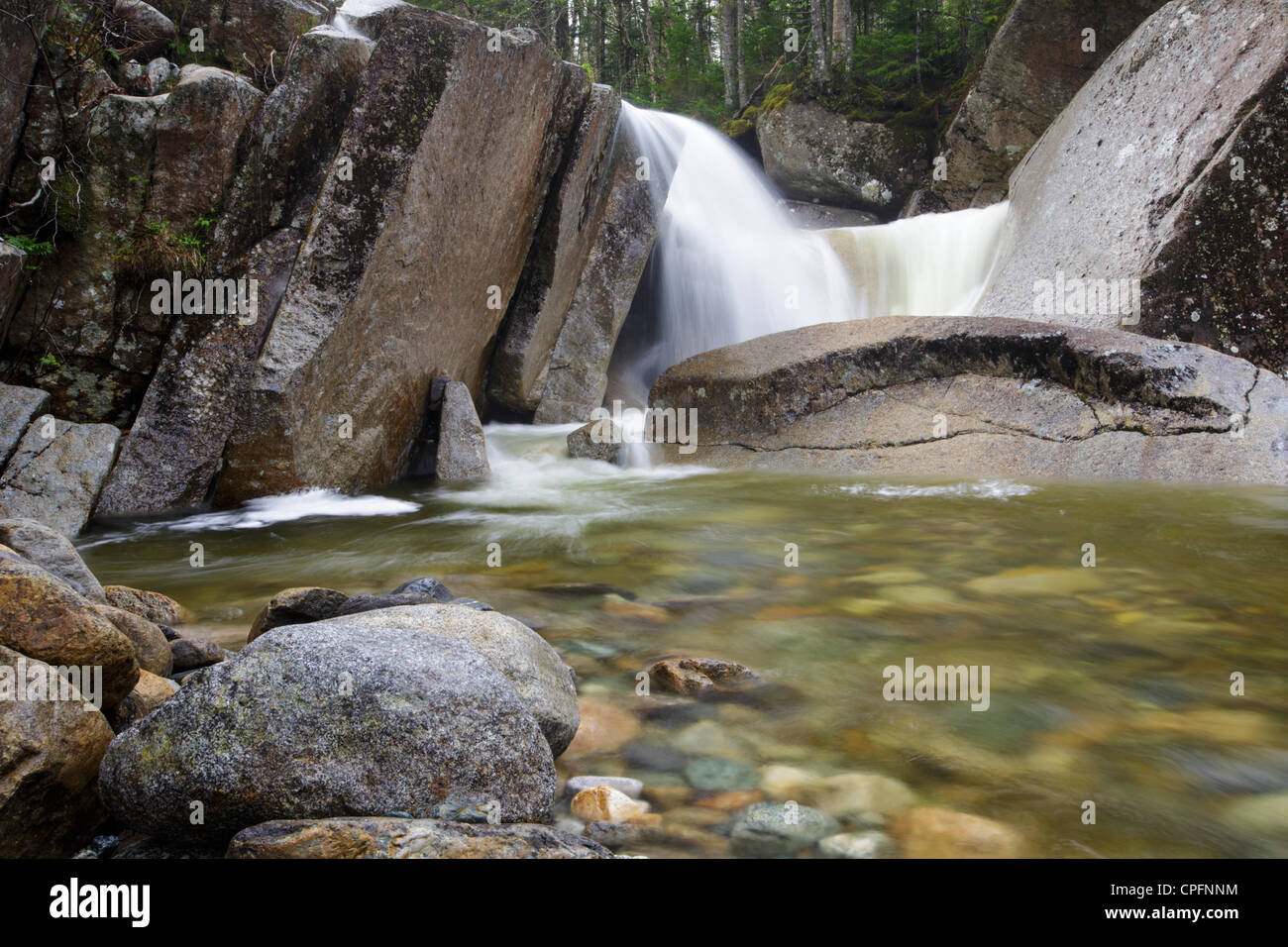 Little River just off the North Twin Trail during the spring months in ...