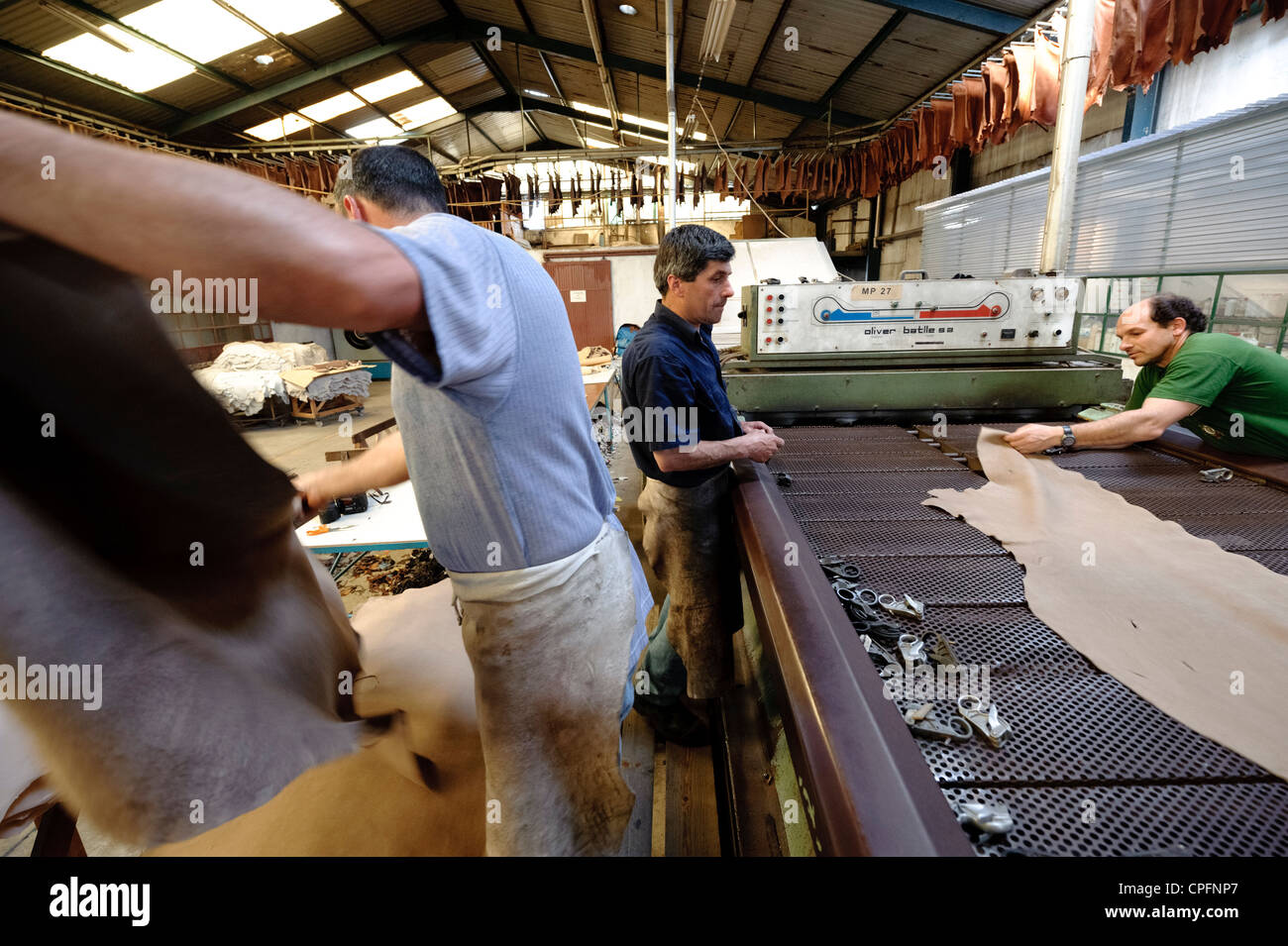 People working with leather at an industrial tannery in Portugal Stock ...