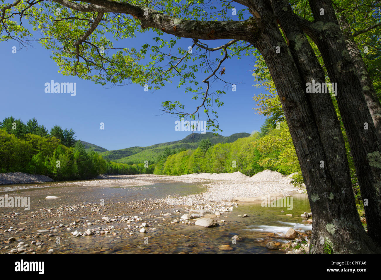 White Mountain National Forest in New Hampshire USA Stock Photo - Alamy