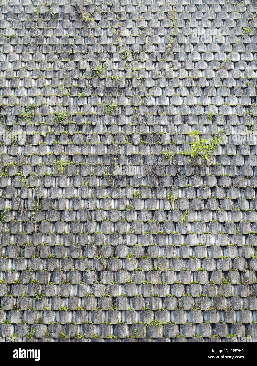 Geometric shapes and textures with plants growing out of them Stock ...