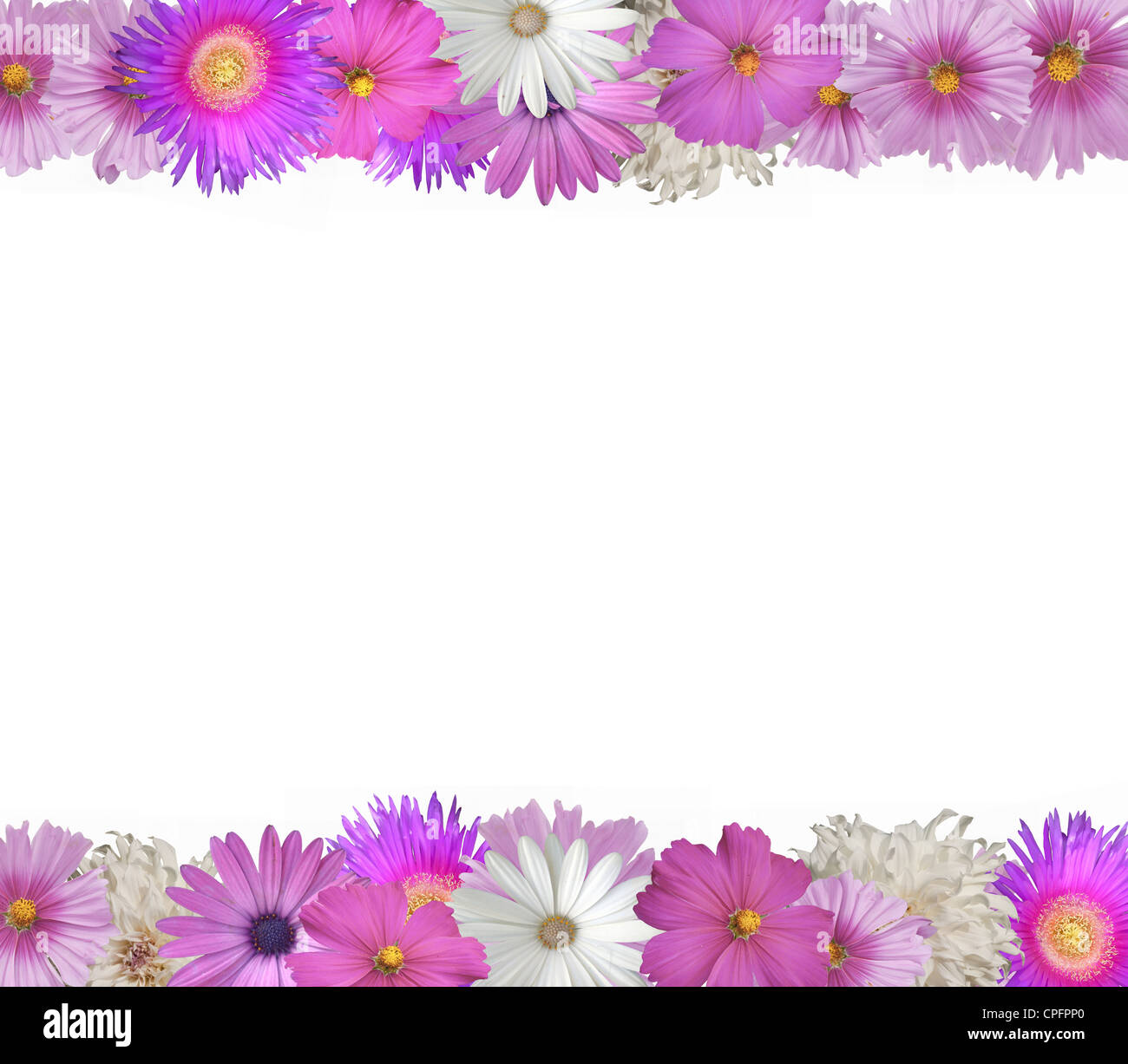 Pretty Flower Frame Stock Photo - Alamy