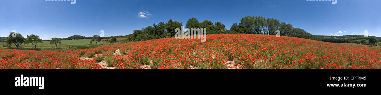 Cpfrm5 hi-res stock photography and images - Alamy